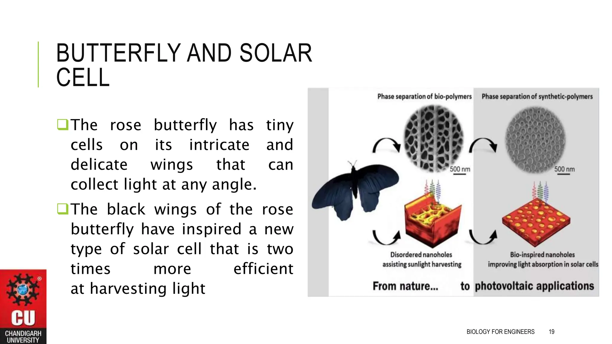 Significance of Biology in Engineeringing.ppt