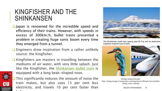 Significance of Biology in Engineeringing.ppt | Biotech and Biomedical ...
