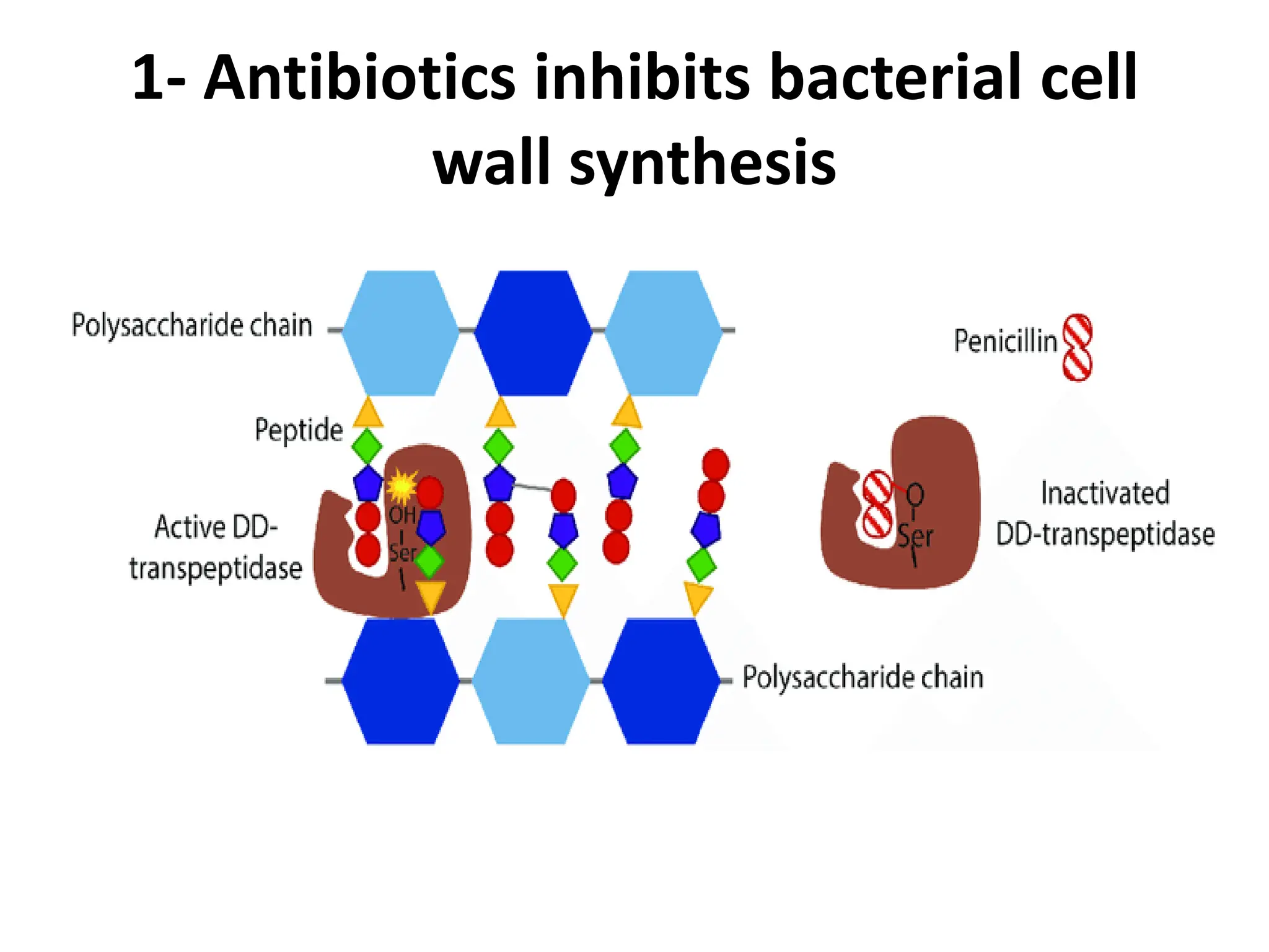 Pathogenicity epidemiology and antimicrobial therapy | PPT