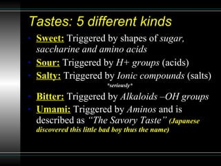 Lecture 3 Smell And Taste | PPT