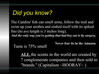 Lecture 3 Smell And Taste | PPT