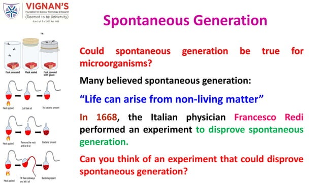 LECTURE 3 SPONTANEOUS GENERATION THEORY.pptx | Biological Sciences ...