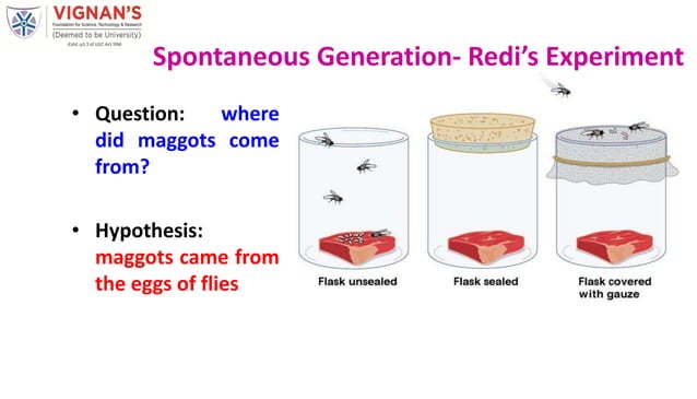 LECTURE 3 SPONTANEOUS GENERATION THEORY.pptx | Biological Sciences ...