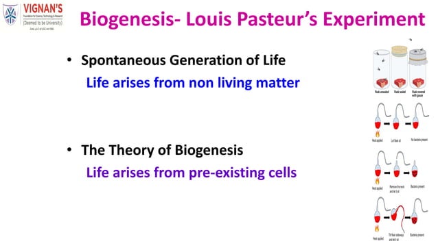 LECTURE 3 SPONTANEOUS GENERATION THEORY.pptx | Biological Sciences ...