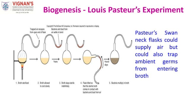 LECTURE 3 SPONTANEOUS GENERATION THEORY.pptx | Biological Sciences ...