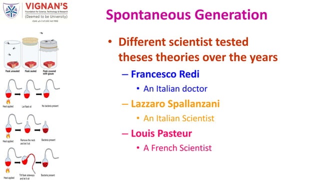 LECTURE 3 SPONTANEOUS GENERATION THEORY.pptx | Biological Sciences ...