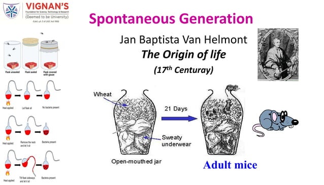 LECTURE 3 SPONTANEOUS GENERATION THEORY.pptx | Biological Sciences ...