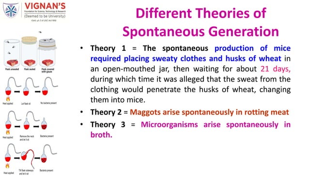 LECTURE 3 SPONTANEOUS GENERATION THEORY.pptx
