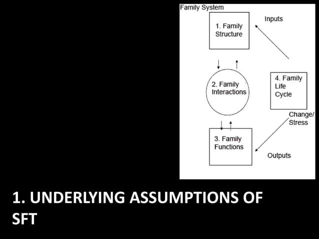 Lecture 3 structural family therapy | PPTX | Parenting | Family and Relationships