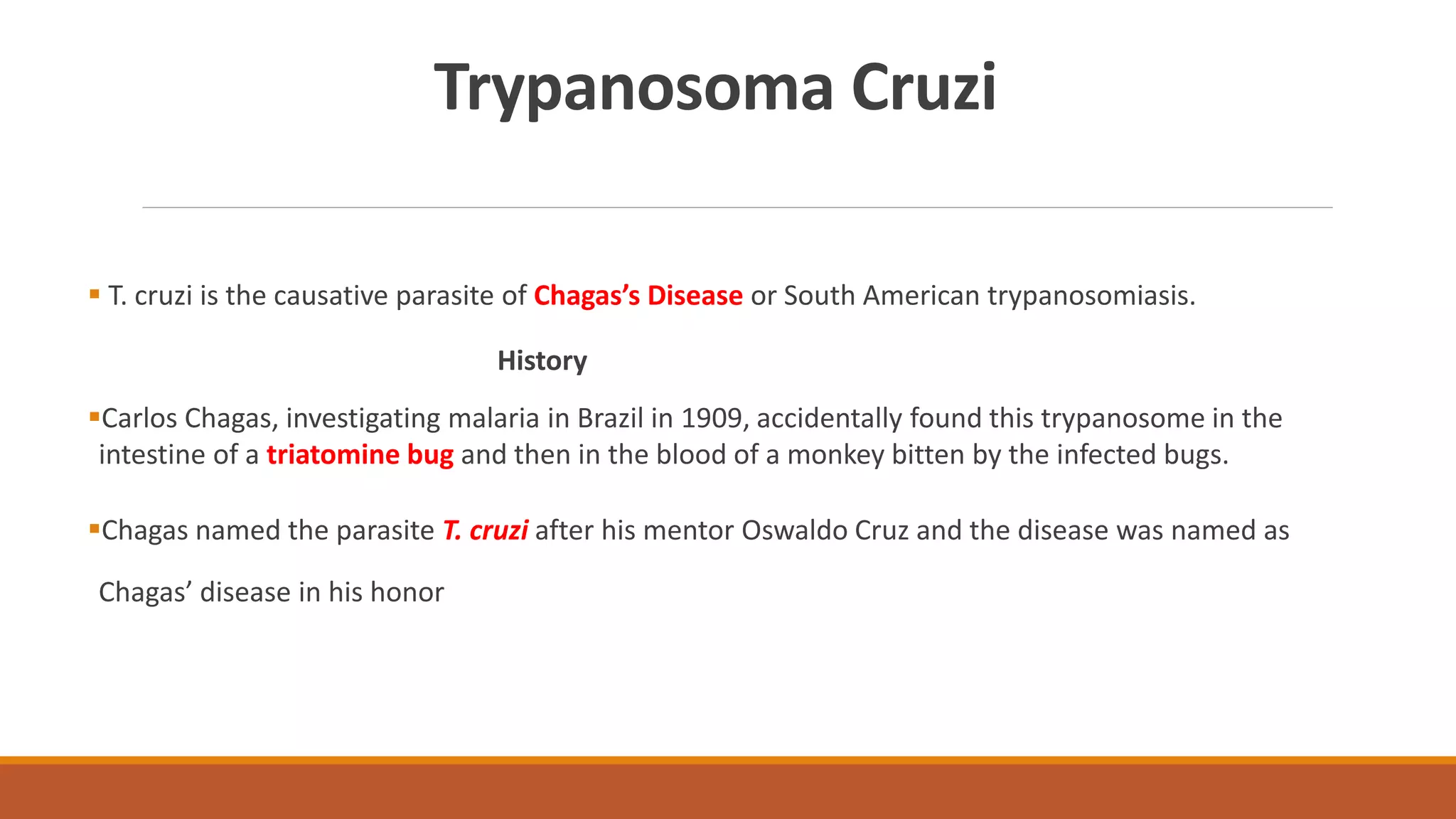Lecture 3 (T. cruzi) .pptx