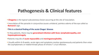 Lecture 3 (T. cruzi) .pptx