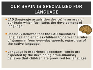 The development of language.pptx