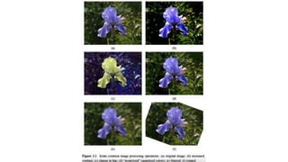 Lecture3 Transformation.pptx