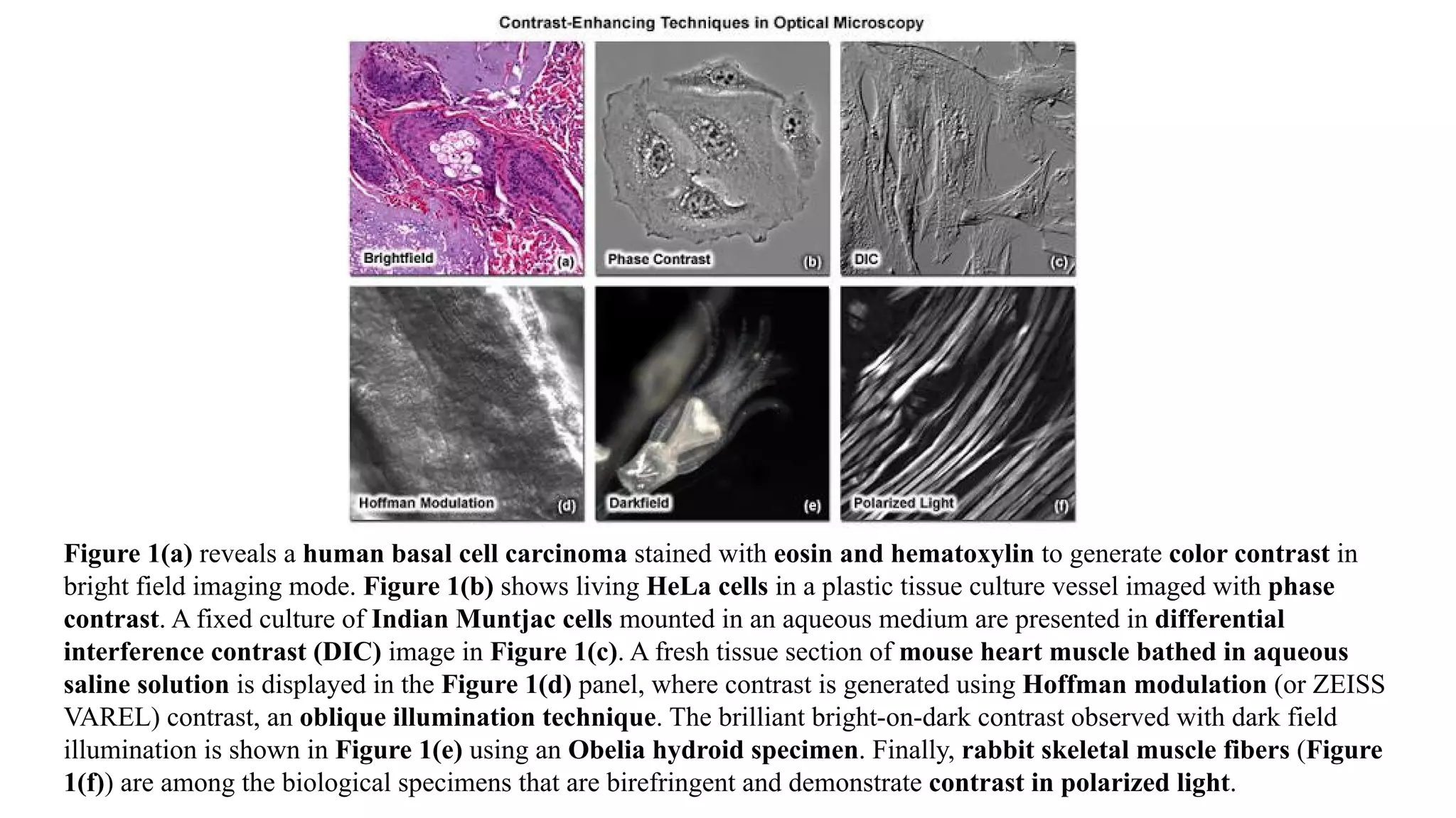 Lecture 3 Unit-I Bright-field & Dark-field Microscopy.pdf