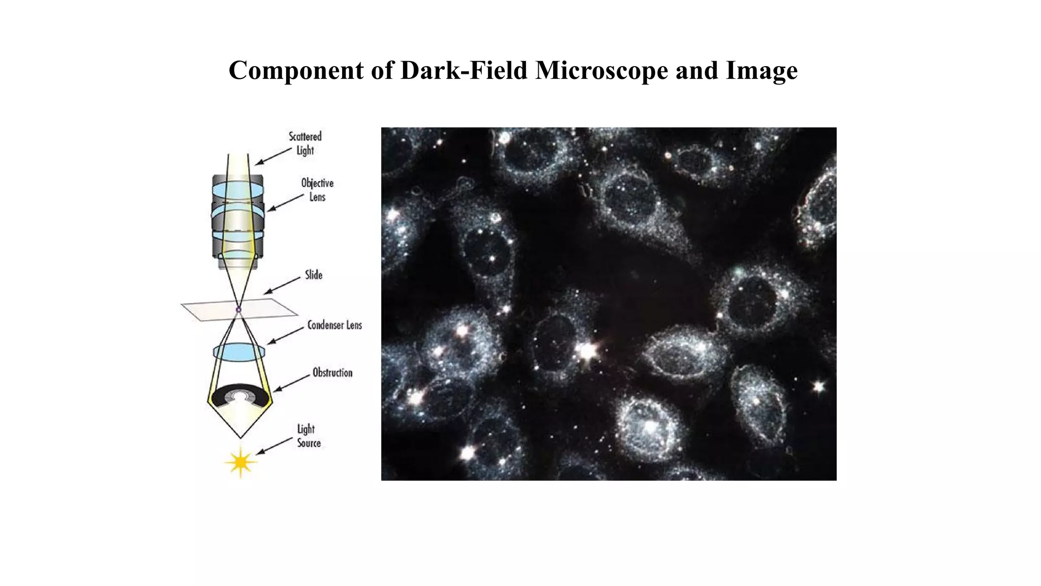 Lecture 3 Unit-I Bright-field & Dark-field Microscopy.pdf