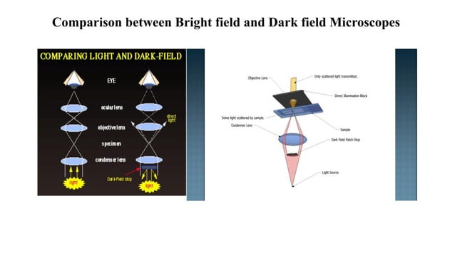 Lecture 3 Unit-I Bright-field & Dark-field Microscopy.pdf