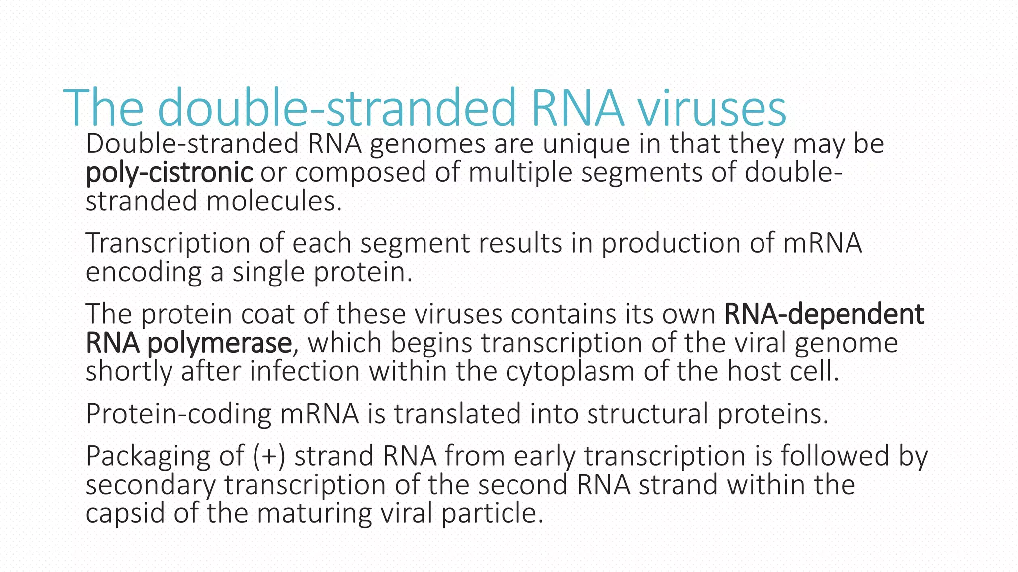 Lecture 3 Viral Genomes.pptx | Biological Sciences | Science