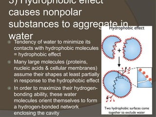 Lecture 3 Water and pH_Kani.ppt