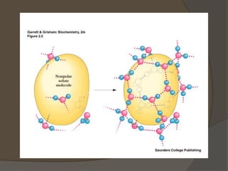 Lecture 3 Water and pH_Kani.ppt