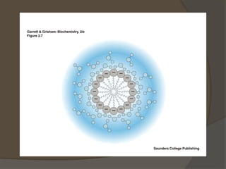 Lecture 3 Water and pH_Kani.ppt