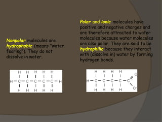 Lecture 3 Water and pH_Kani.ppt