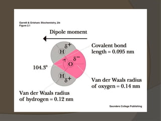 Lecture 3 Water and pH_Kani.ppt