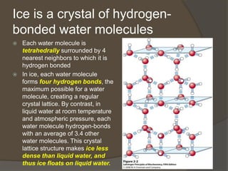 Lecture 3 Water and pH_Kani.ppt