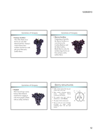 Lecture 3 Wine Production part1 | PDF