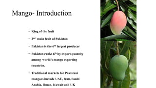 Production technology of Mango | PPTX