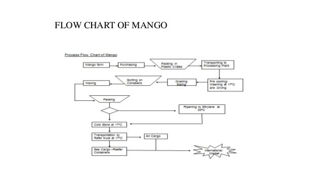 Production technology of Mango