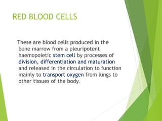 Lecture 4. classification of anemia | PPTX