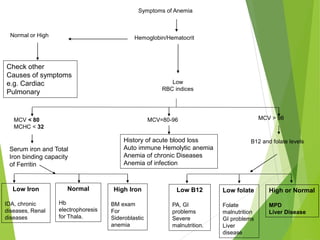 Lecture 4. classification of anemia | PPTX
