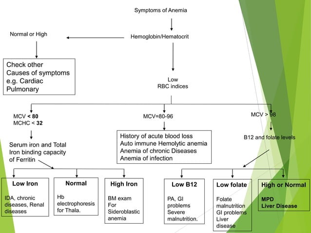 Lecture 4. classification of anemia | PPTX | Blood Disorders | Diseases ...