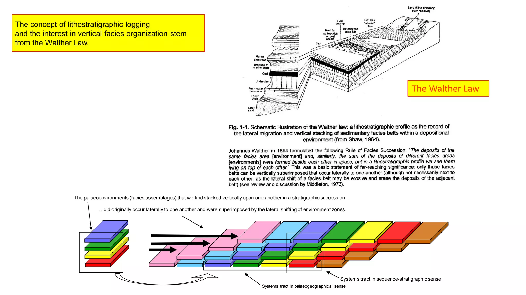 Sedimentology Lecture 4. concept of sedimentary facies, association and ...
