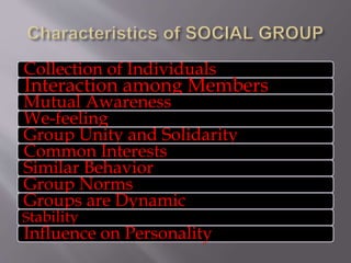 Lecture 4. Social Group | PPTX