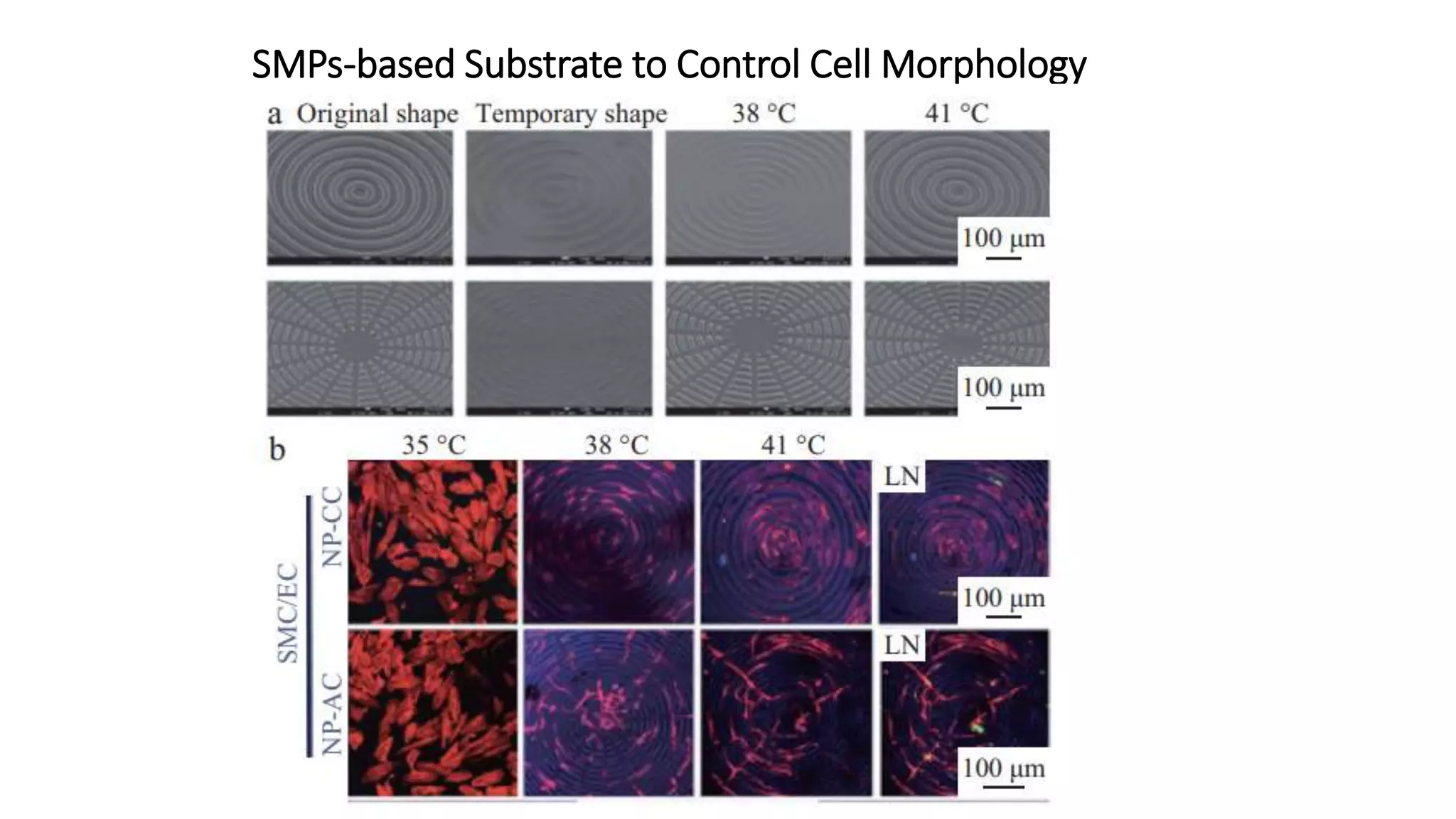 Biomimetic materials | PPTX