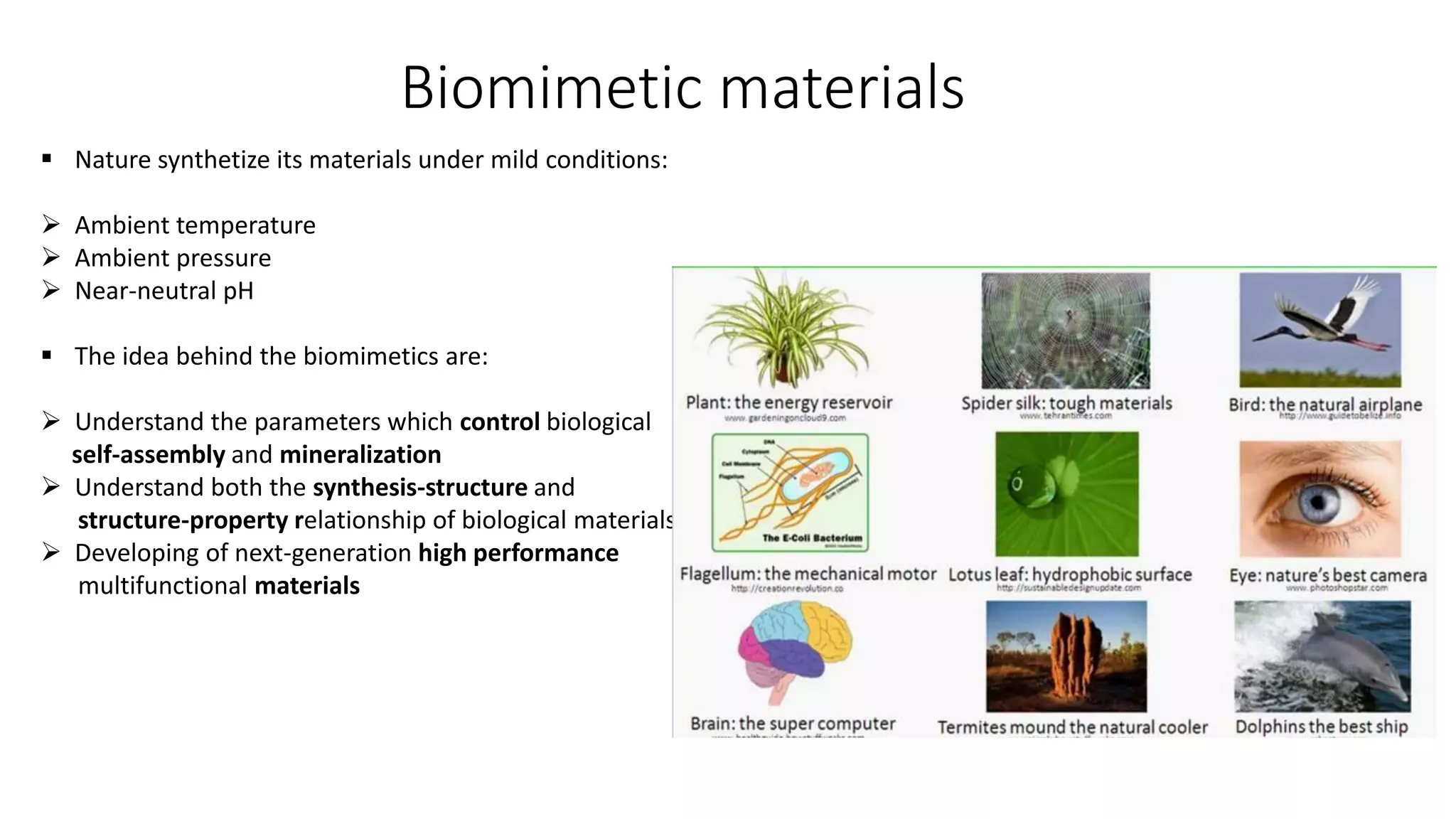 Biomimetic materials | PPTX