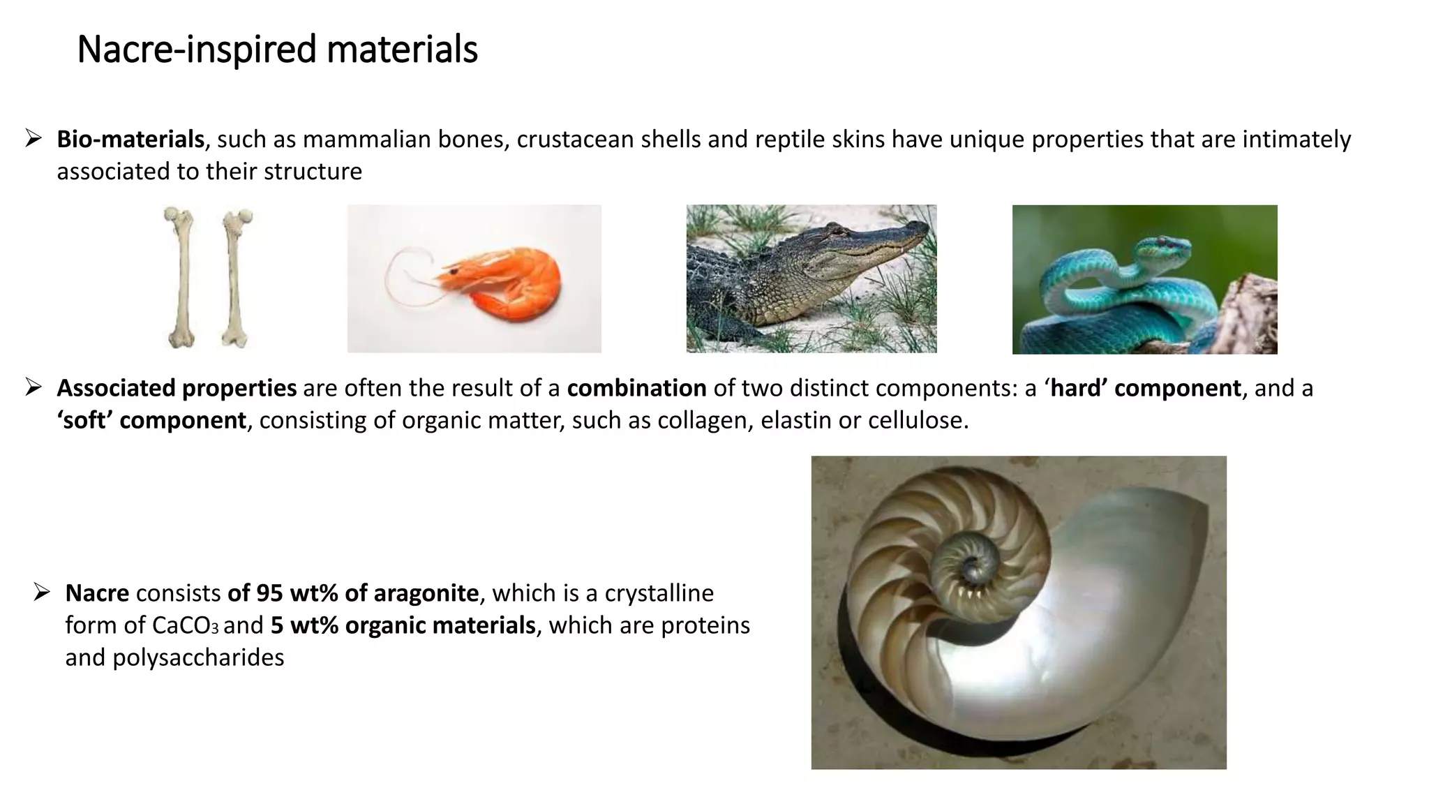 Biomimetic materials | PPTX