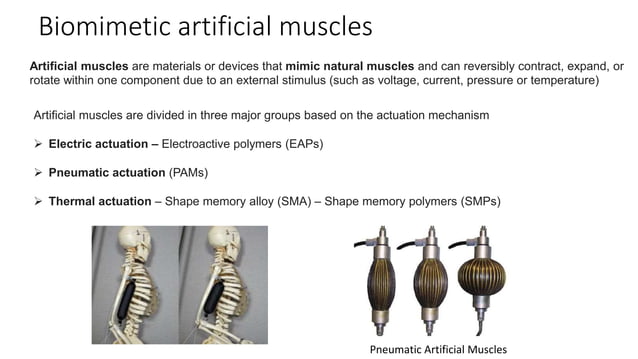 Biomimetic materials | PPTX