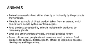 Lecture 4 meat preservation | PPTX