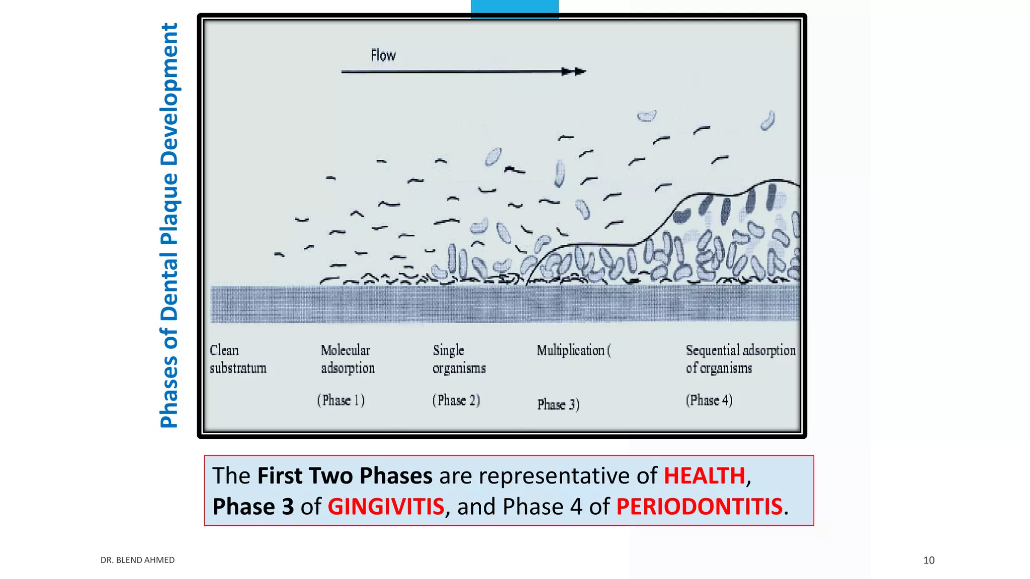 Deposits on the Teeth | PDF