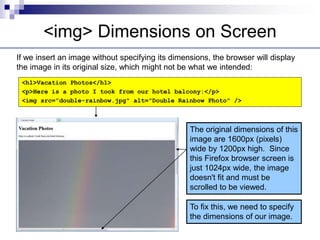 lecture4.ppt | Web Design and HTML | Internet