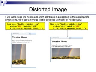 lecture4.ppt | Web Design and HTML | Internet