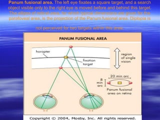 lecture 4.ppt.pdf opthamology education ism | PDF