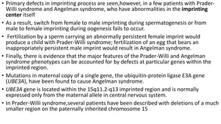 lecture 4.pptx dhshevehehshsbevejwjbwbwvwbwbwbwb | PPT