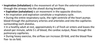 Respiration Physiology Doctor of Pharmacy | PPT
