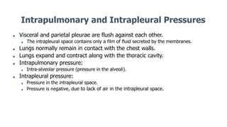 Respiration Physiology Doctor of Pharmacy | PPT
