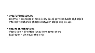 Respiration Physiology Doctor of Pharmacy | PDF