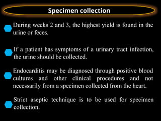 Specimen collection gnjbbvvjnbvvvbmvccch | PPTX
