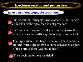 Specimen collection gnjbbvvjnbvvvbmvccch | PPTX